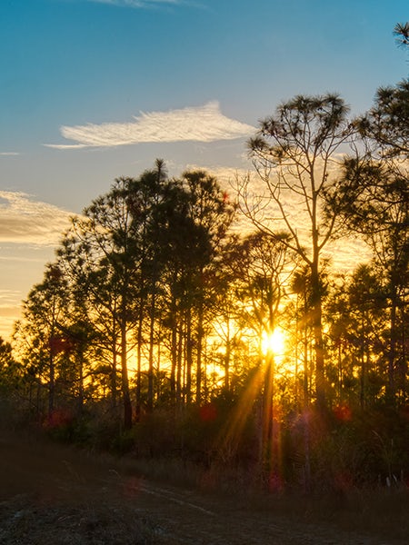 New Home Builder in Southwest Florida | Christopher Alan Homes